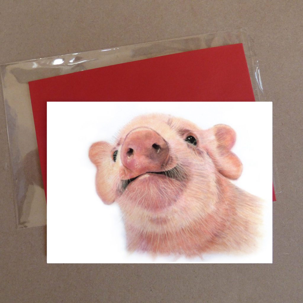 Pig Greeting Card 1 | Jacqueline South Illustration and Design